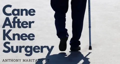 Walking Your Dog After Knee Replacement Surgery: A Timeline for Recovery
